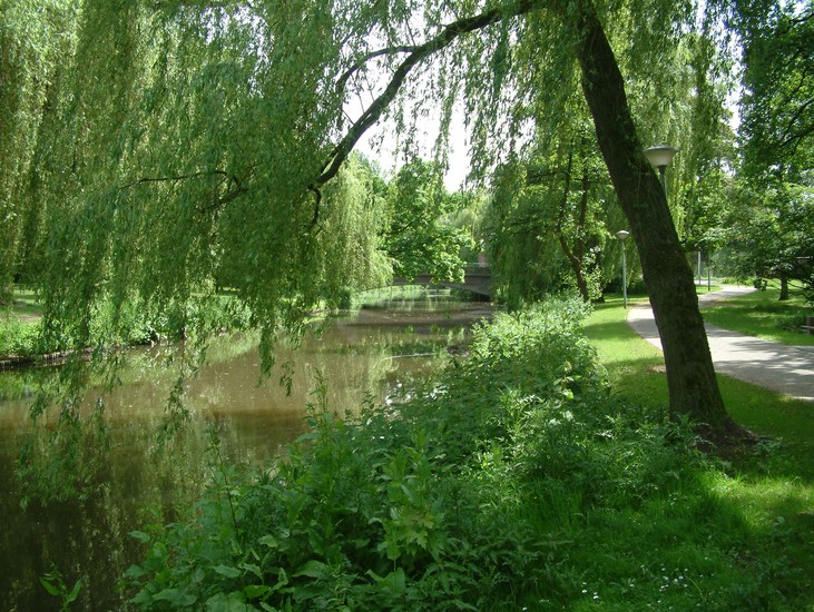 The Dommel