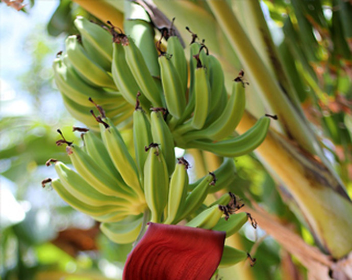 Den Dunki National Park | Curacao Sightseeing | Curacao