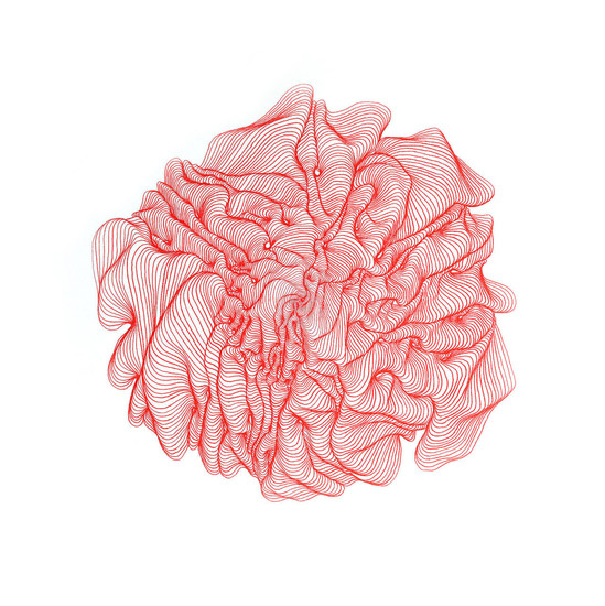 African Geometry | Johannesburg