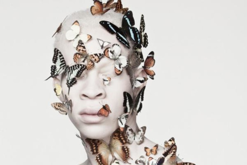 Justin Dingwall - Albus | Johannesburg