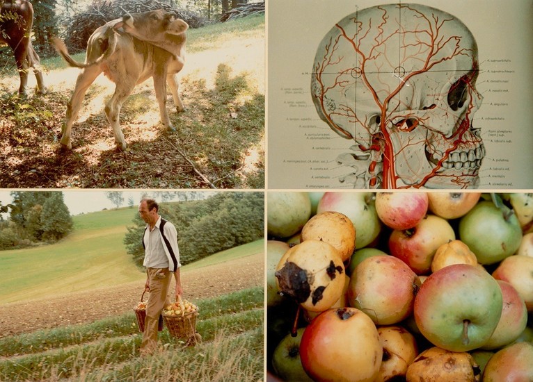 Forty Years of Falter: Photos from Vienna's Alternative Weekly | Vienna