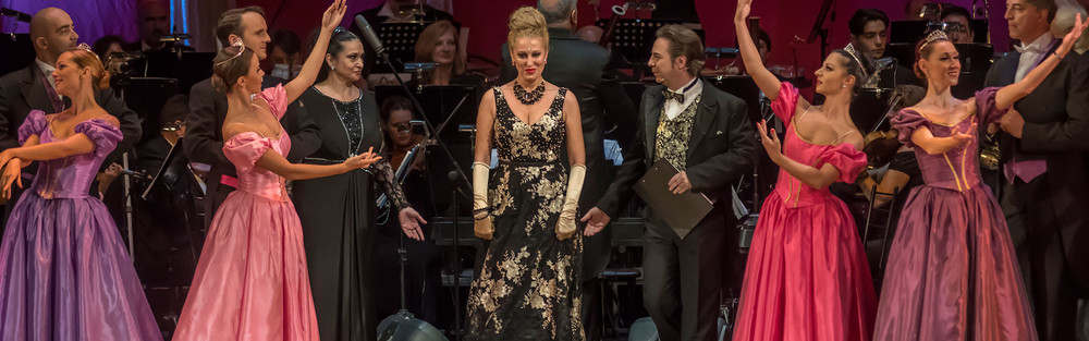 New Year Operetta Ball | Sofia