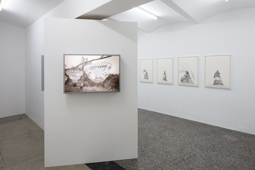 Olga Chernysheva | Vienna