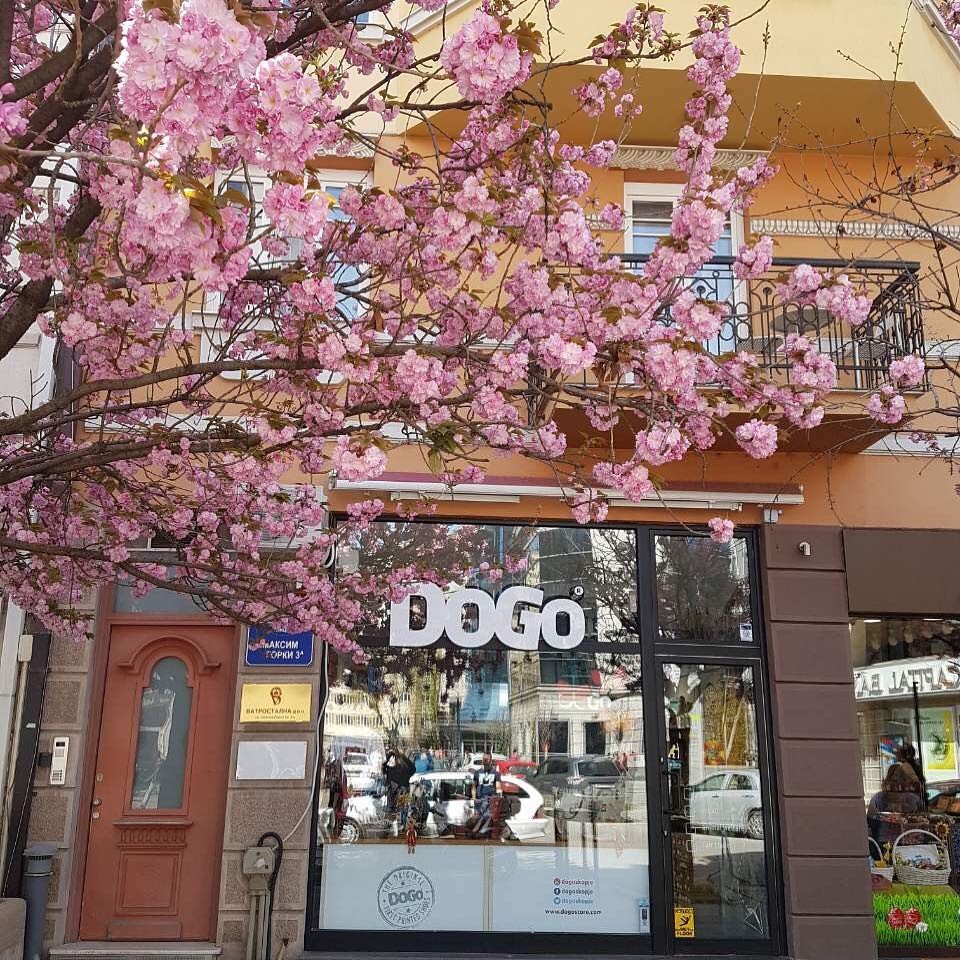 Dogo | Shopping | Skopje