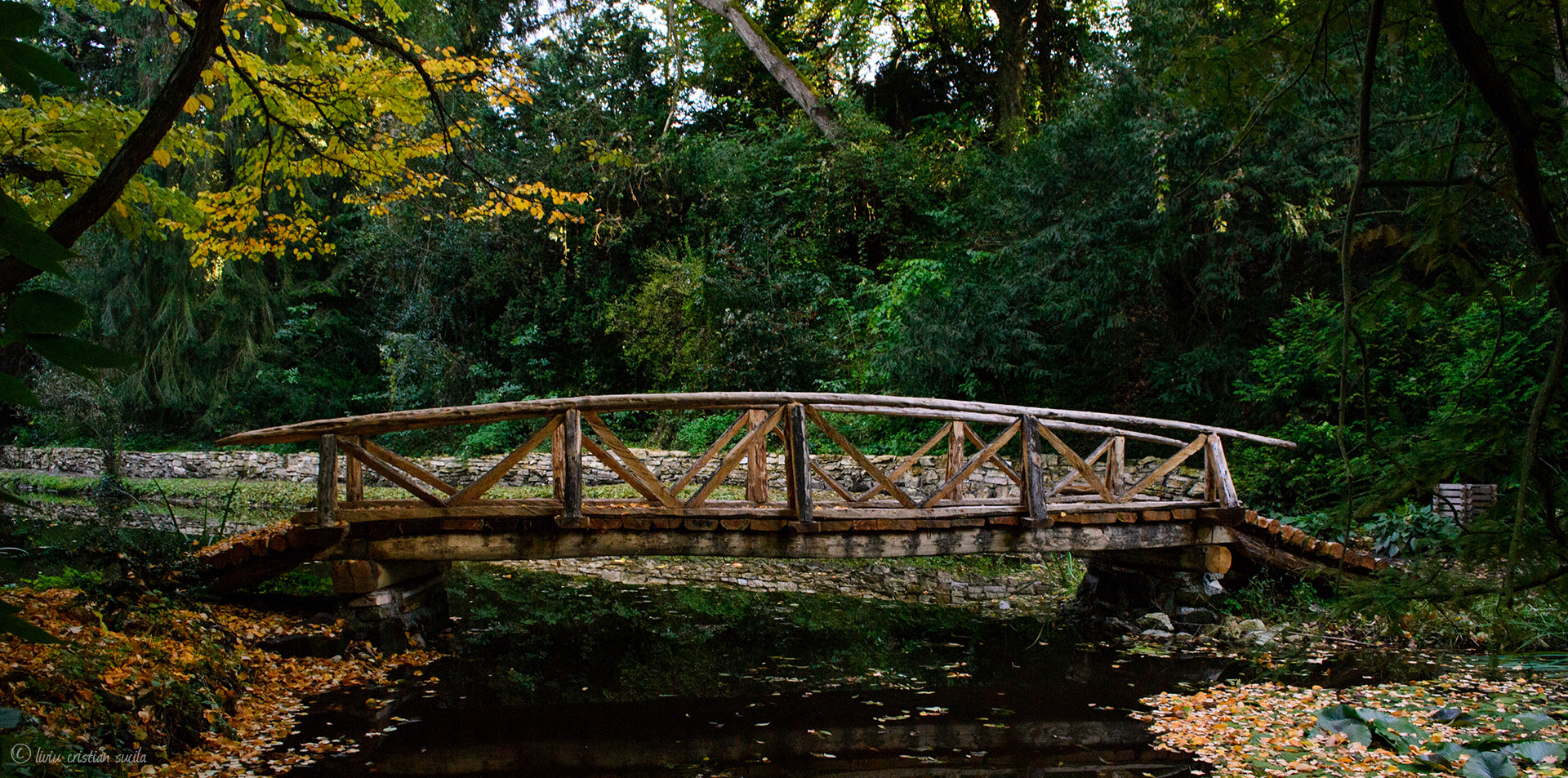 Simeria Dendrological Park | Sightseeing | Deva