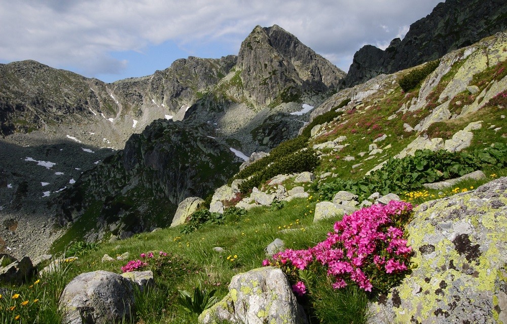 Retezat National Park | Sightseeing | Deva