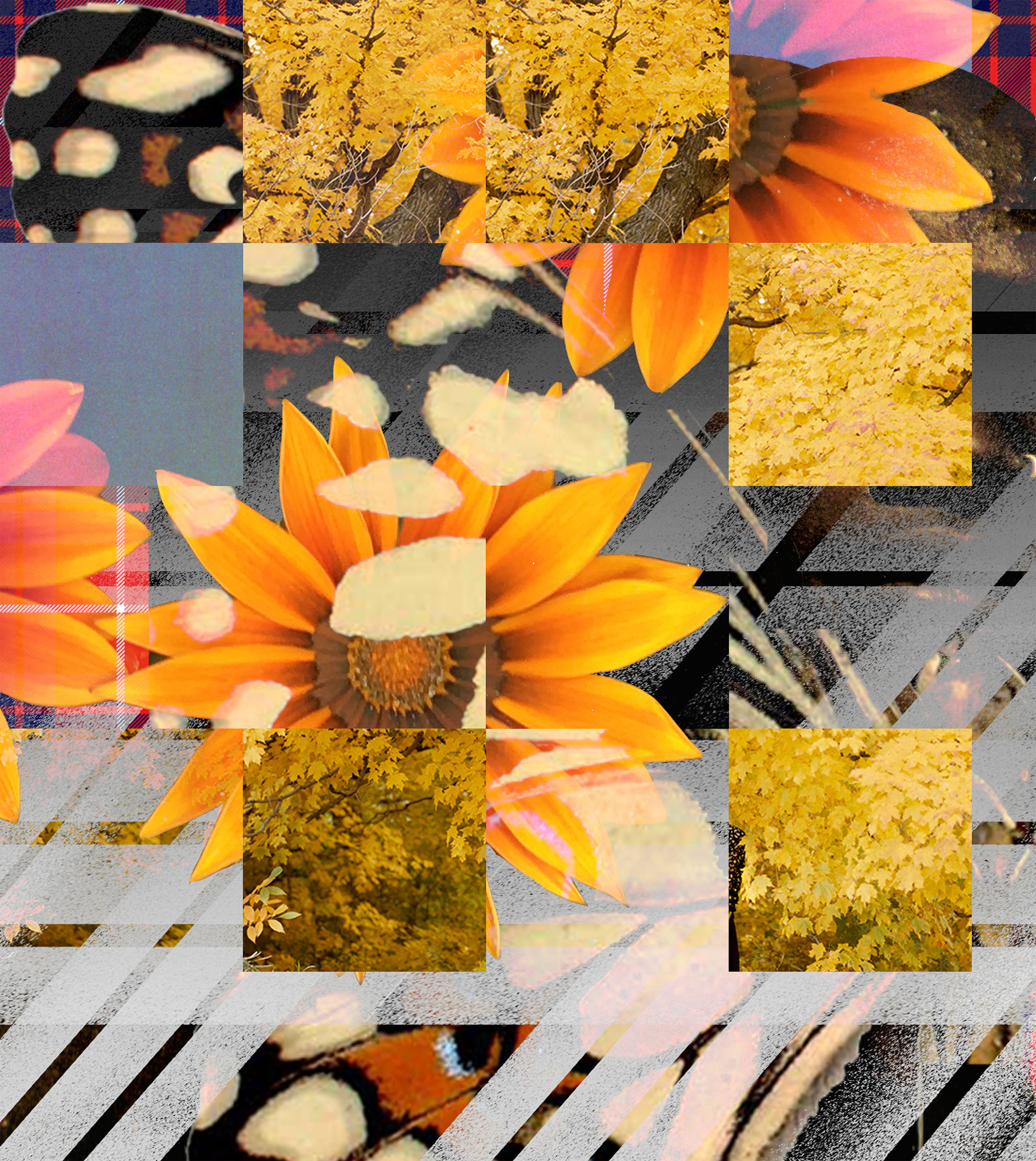 Anthea Hamilton | Vienna