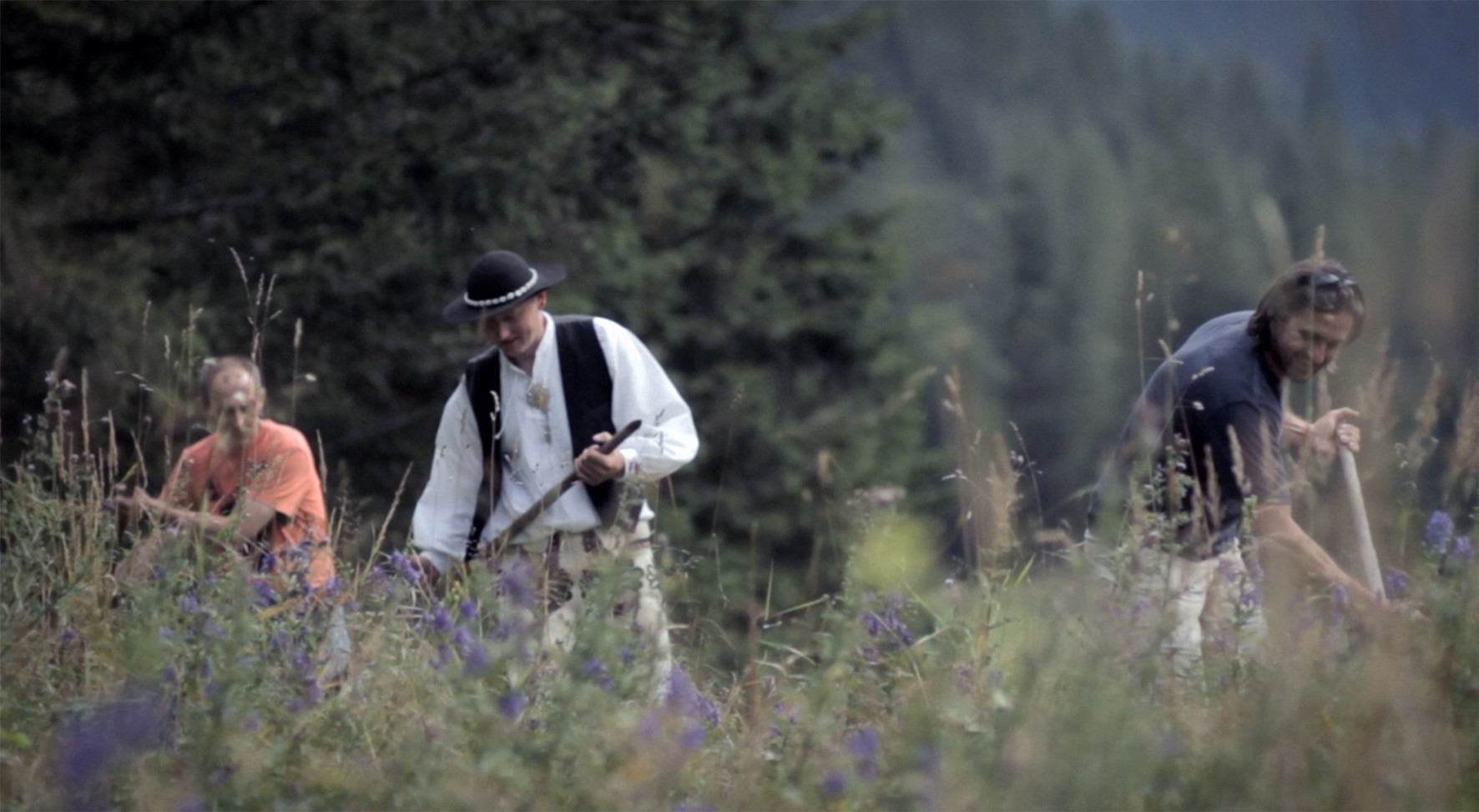 Daily life in Poland | Poznan