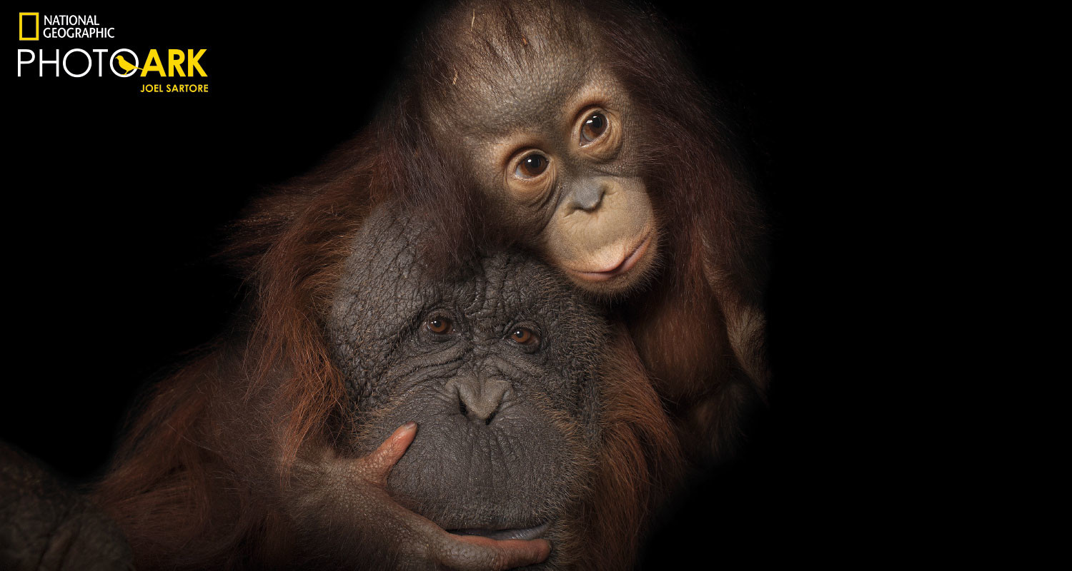 National Geographic Photo Ark | Poznan