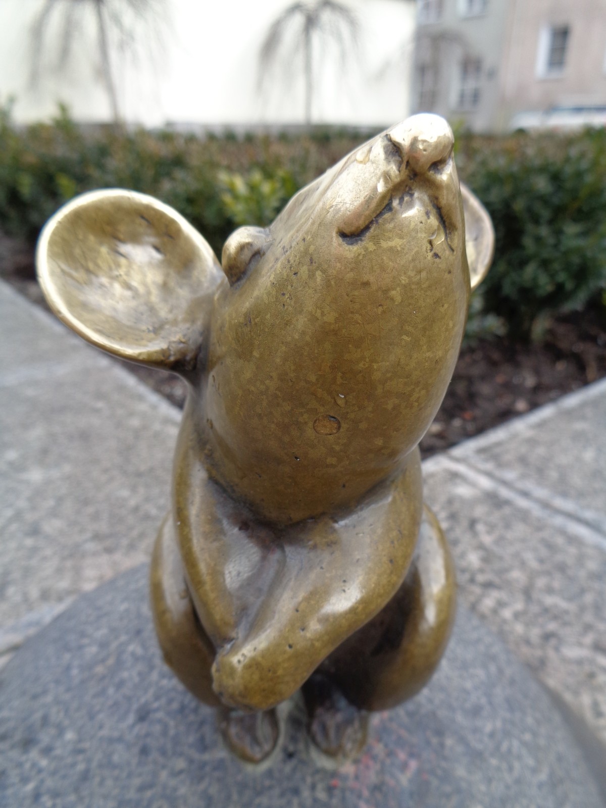 The Magical Mouse | Leisure & Wellbeing | Klaipėda