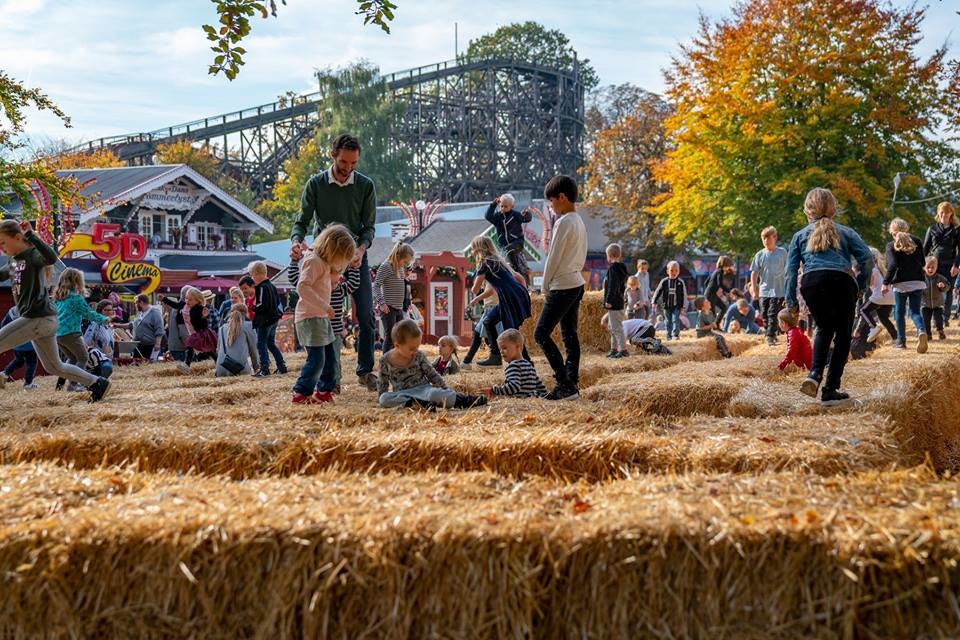 10 BEST Activities for Children and Families in Copenhagen