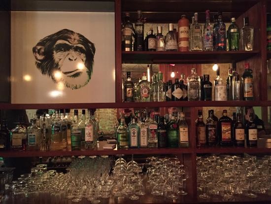 Monkey Factory | Nightlife | Barcelona