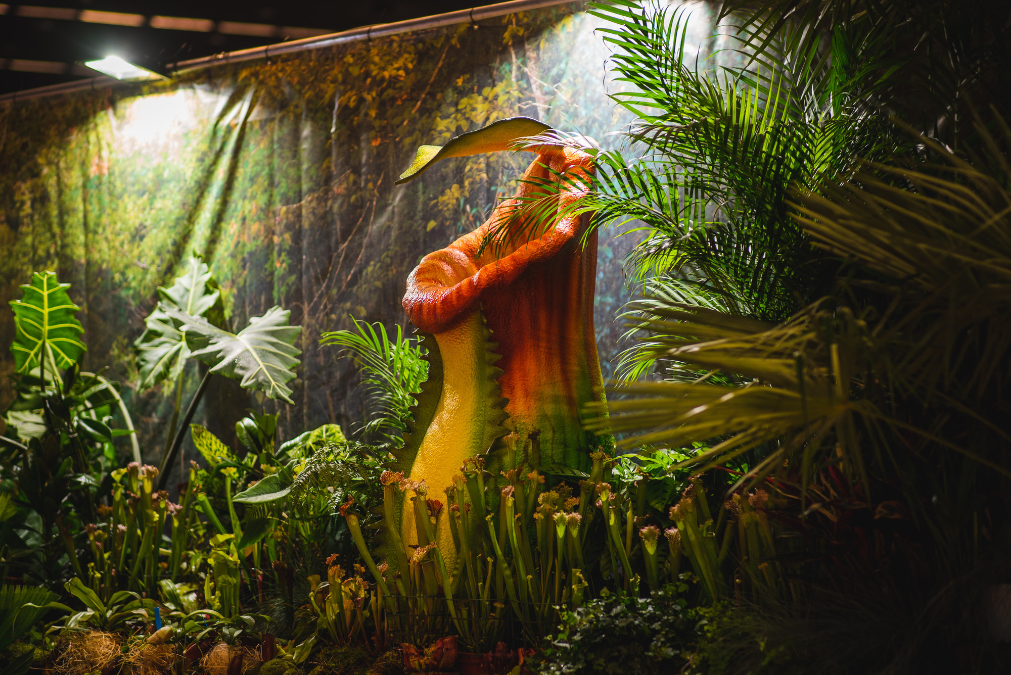 The Attack of Giants - Festival of Insectivorous Plants