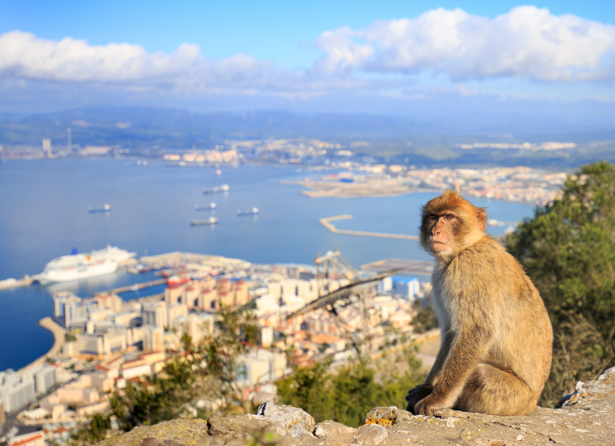 Top 5 for Kids & Families in Gibraltar
