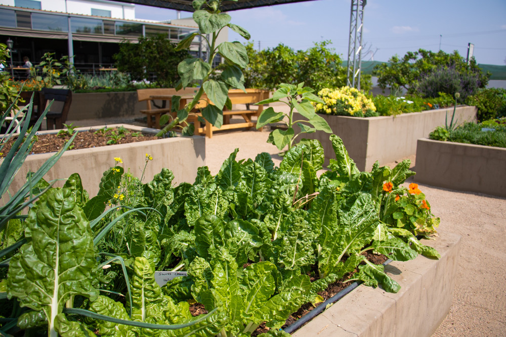 Culinary Table | Restaurants | Johannesburg