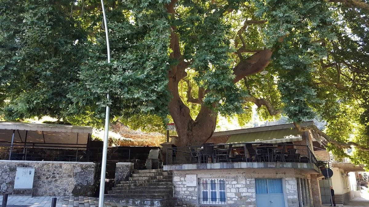 Libohova Restaurant | Where to Eat | Libohova