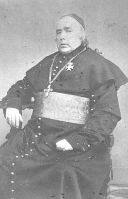 Borstbeeld Mgr. Zwijsen | Bezienswaardigheden | Bommelerwaard (Nederlands)