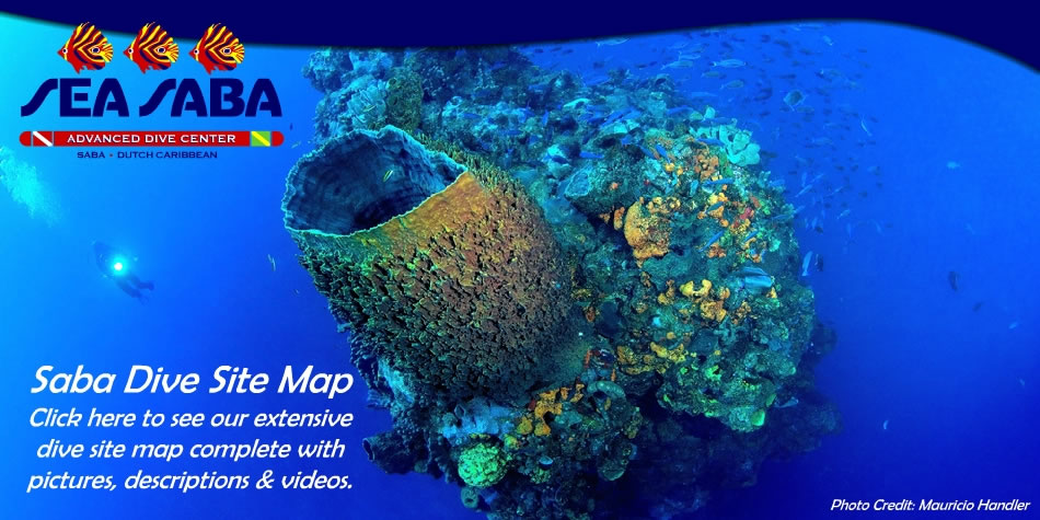 Sea Saba Dive Center | Saba Leisure | Saba