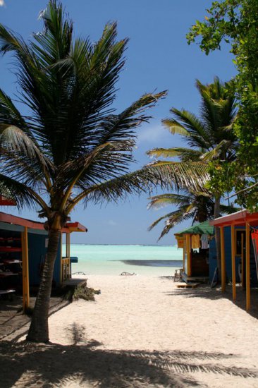 Jibe City | Bonaire Restaurants | Bonaire