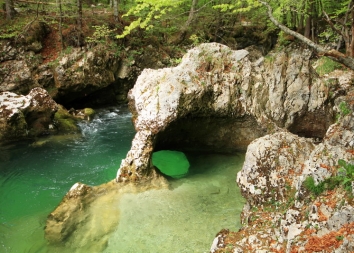 Mostnica Gorge | Sightseeing | Bohinj