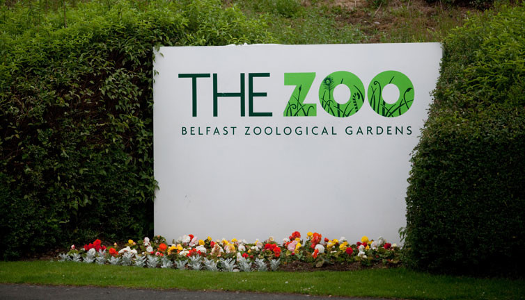 Belfast Zoo | What to See | Belfast & Northern Ireland