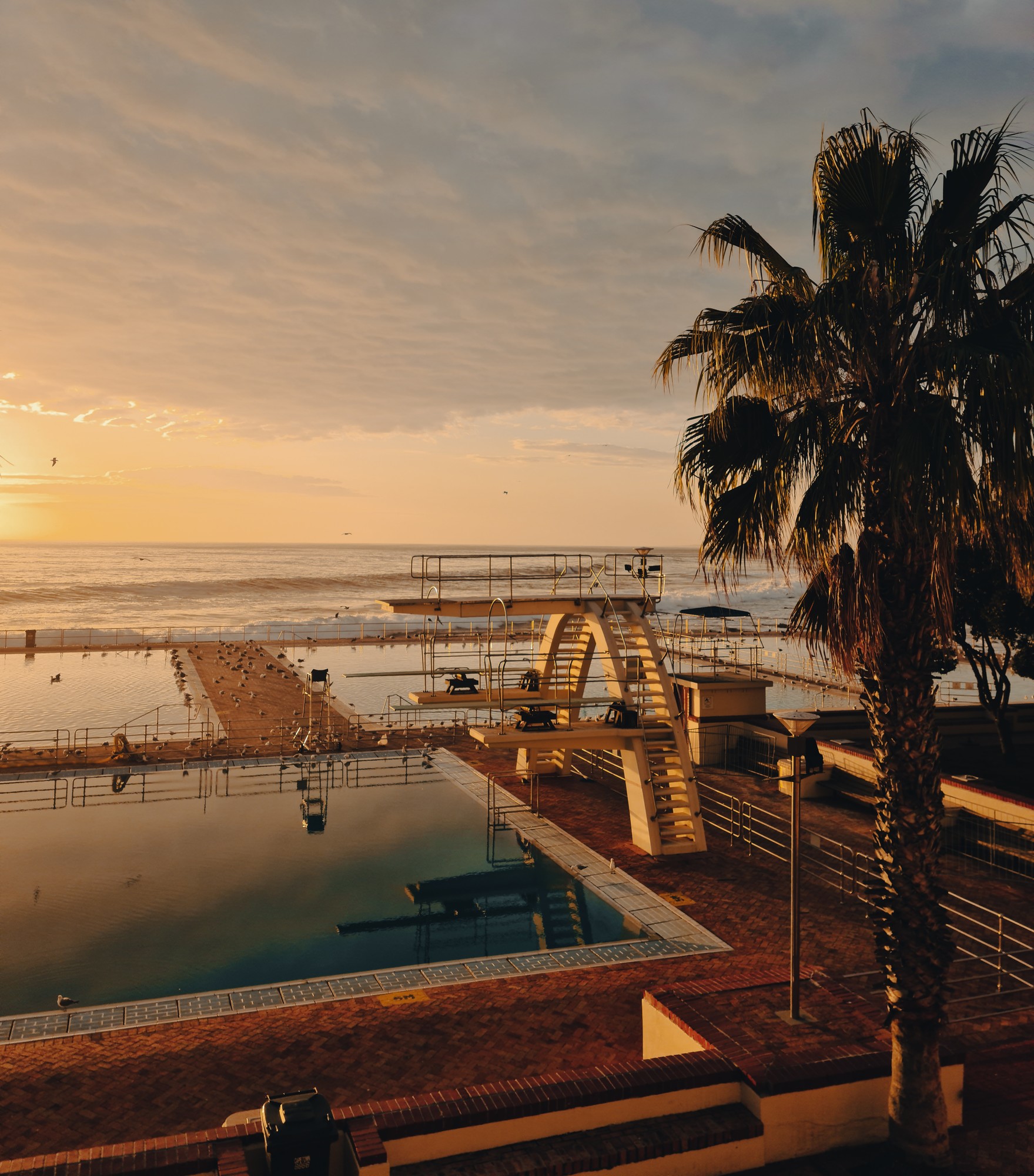 Sea Point Swimming Pool | Sightseeing in Cape Town | Cape Town
