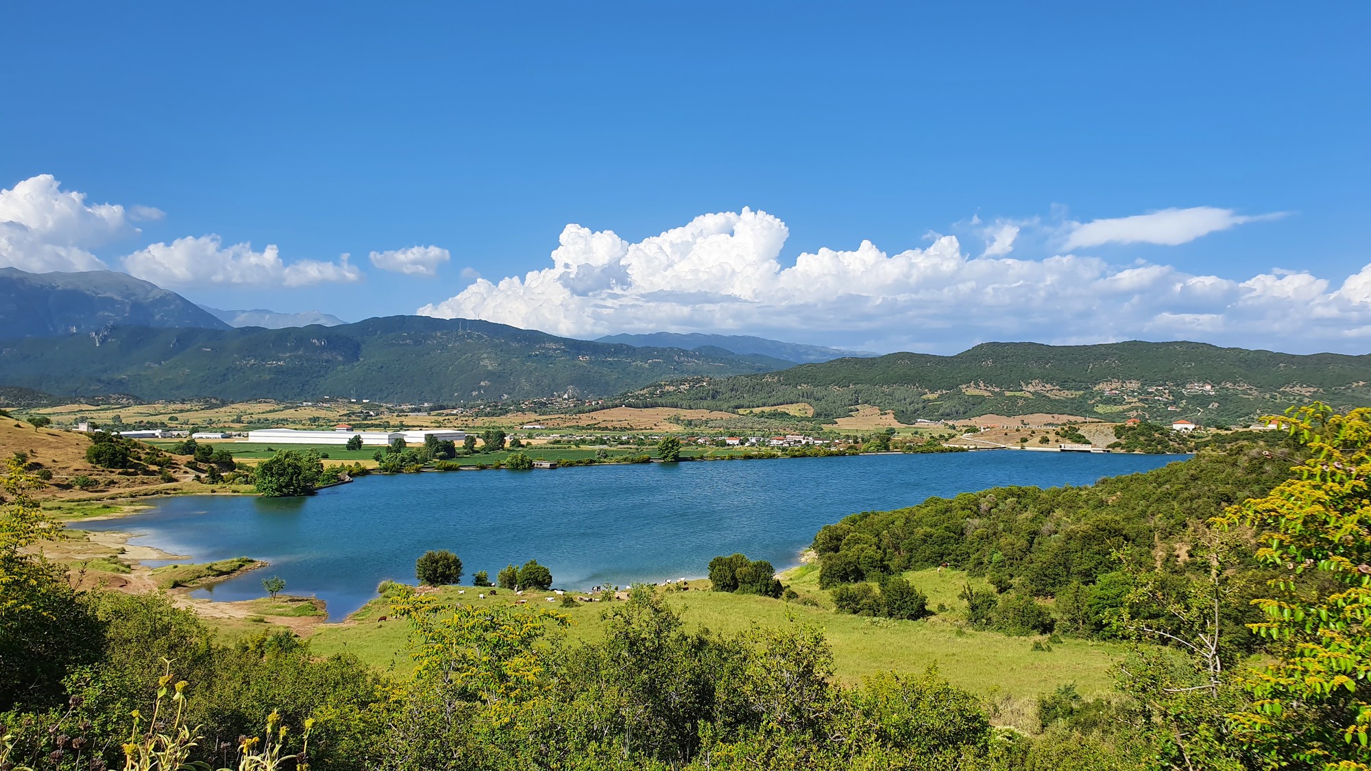 Dropull - Destination City Guides By In Your Pocket