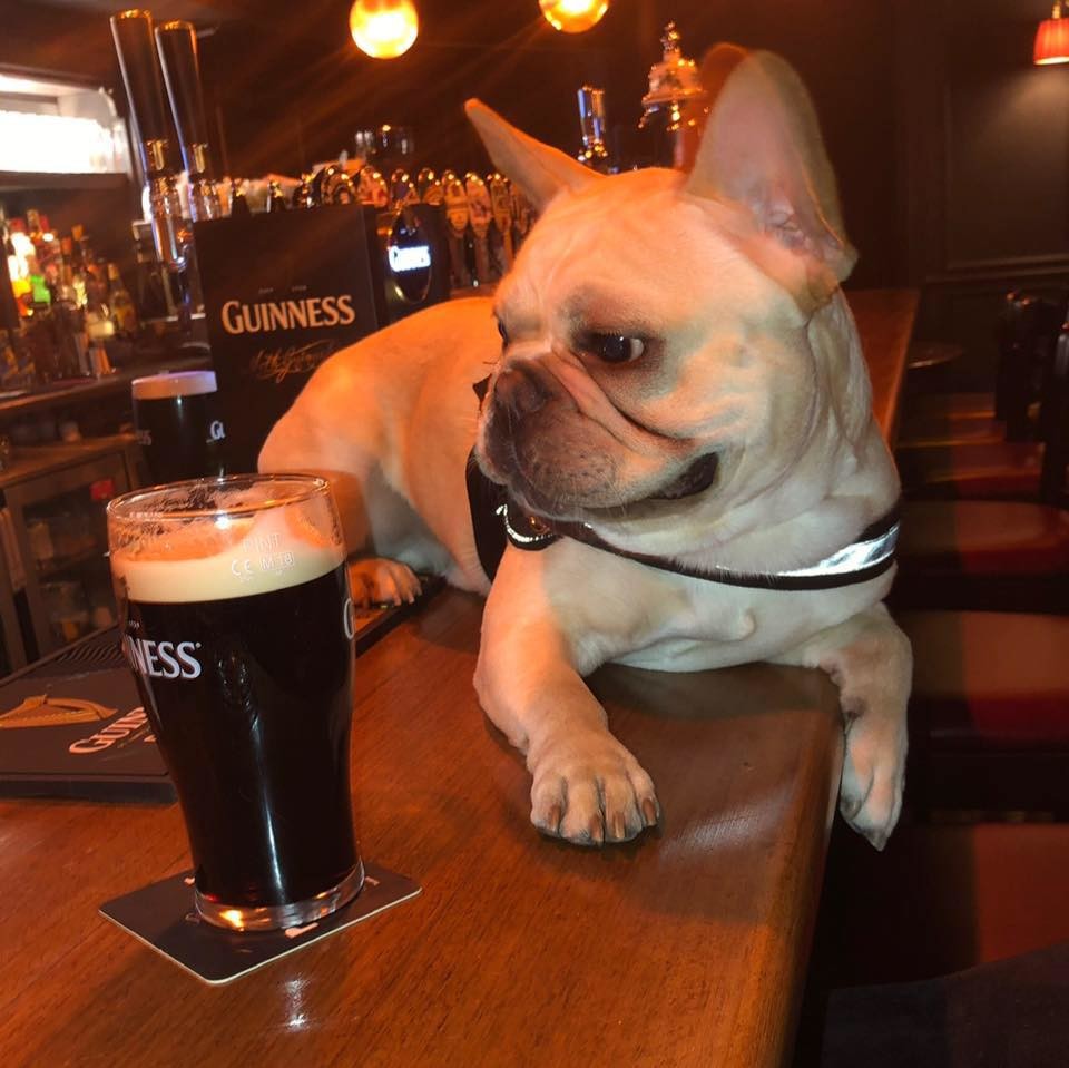 JP Mooneys | Restaurants | Dublin