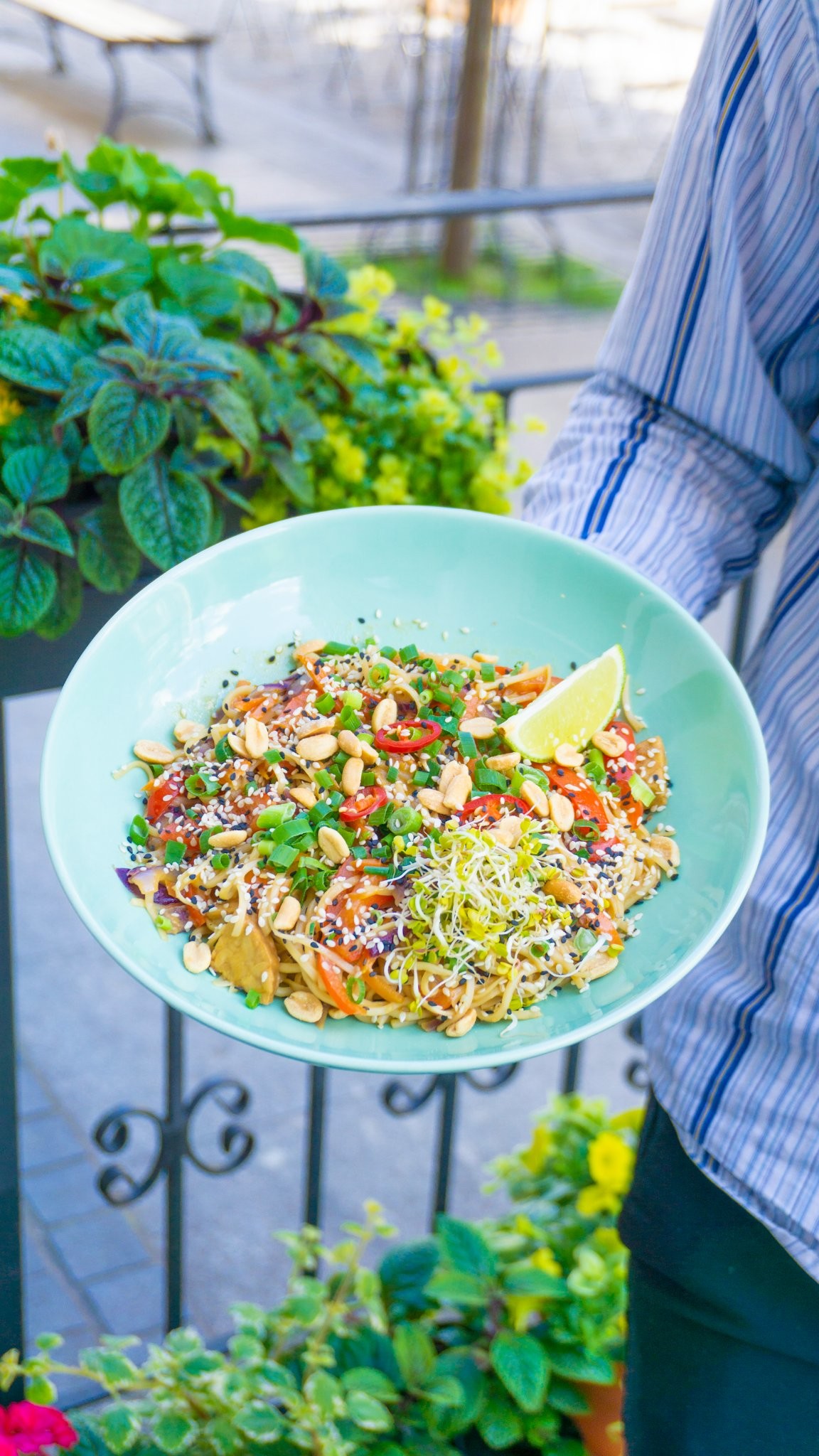 Avocado SPOT | Restaurants | Gdańsk