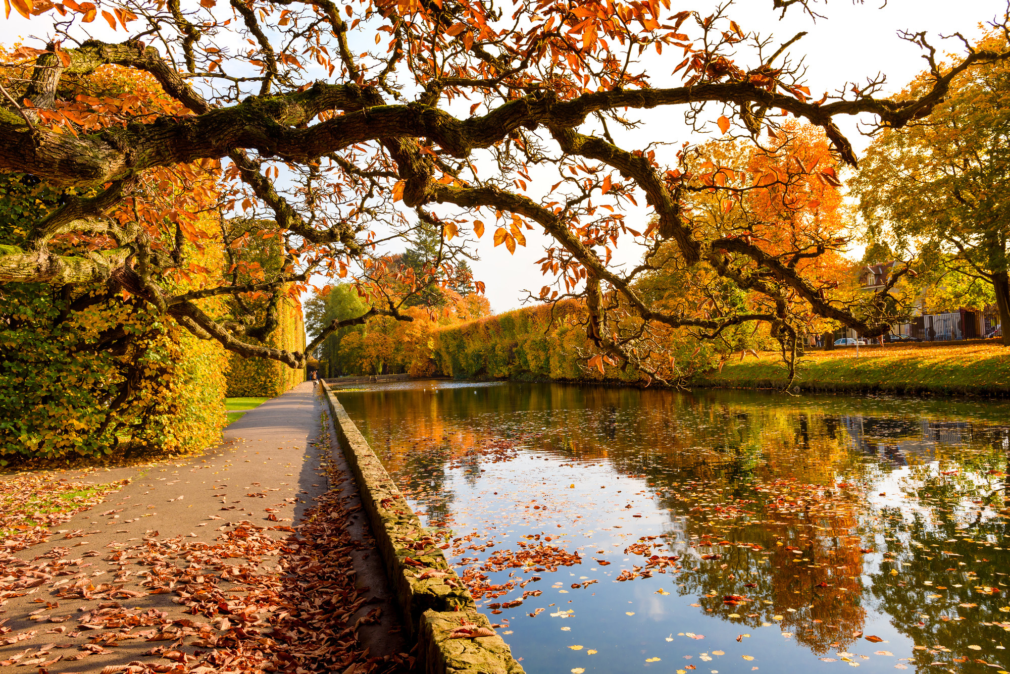 Oliwa Park | Activities & Leisure | Gdańsk