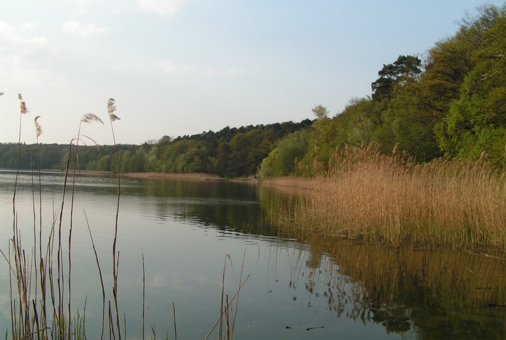 Greater Poland National Park | Sightseeing | Wielkopolska / Greater Poland