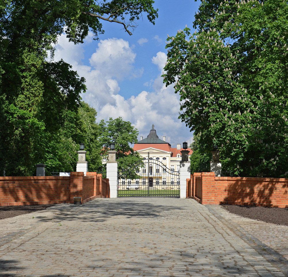 Raczyński Palace in Rogalin | Sightseeing | Wielkopolska / Greater Poland