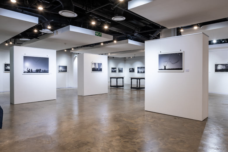 Kim Ludbrook - Contre-Jour | Johannesburg