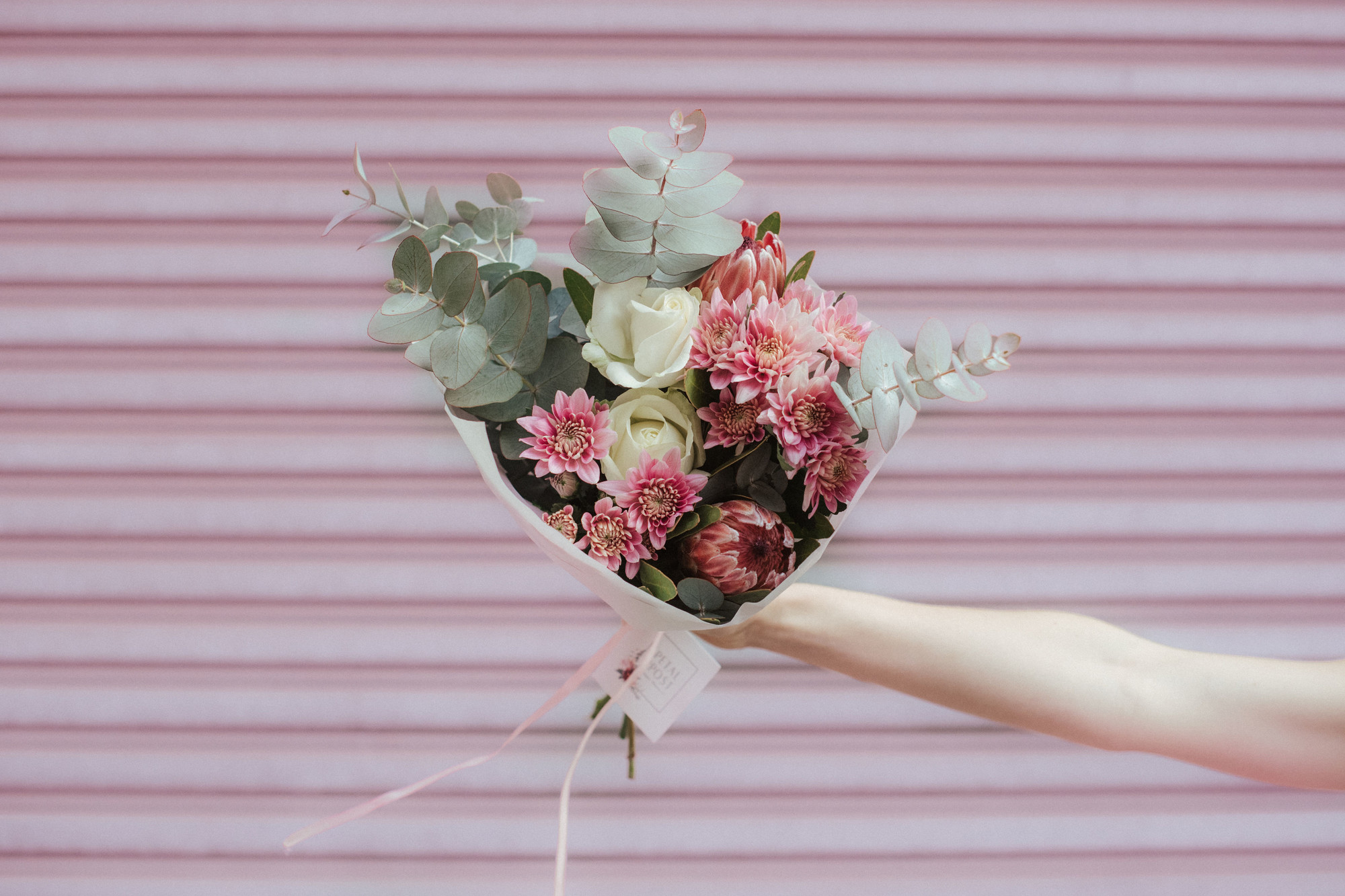 Joburg Flower Market at Cody Schlater blog