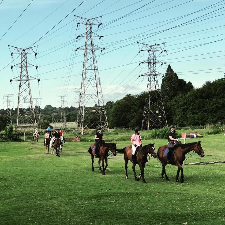 Delta Park | Parks, Sports & Outdoors | Johannesburg