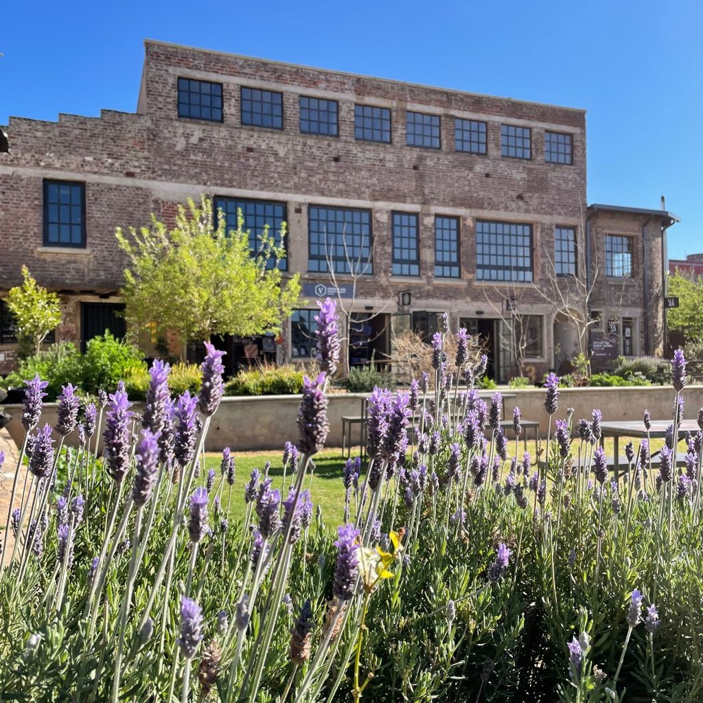 What's On this weekend! Thu Oct 28 – Mon Nov 1