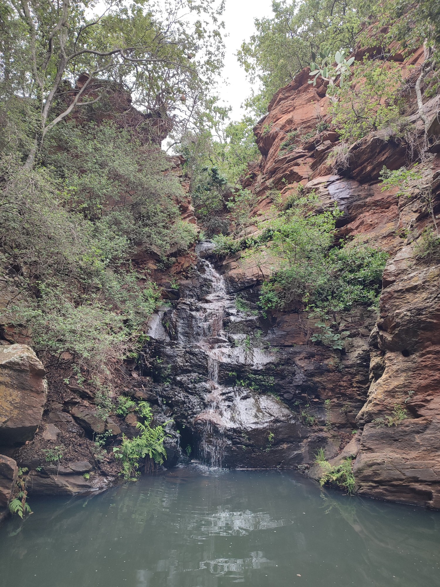 Epic Hikes | Parks, Sports & Outdoors | Johannesburg