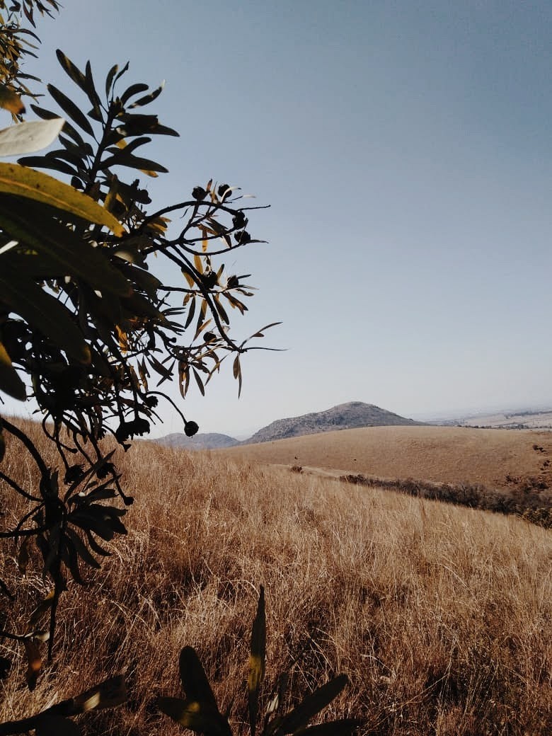 Ground Café | Cafes, coffee shops & delis | Johannesburg