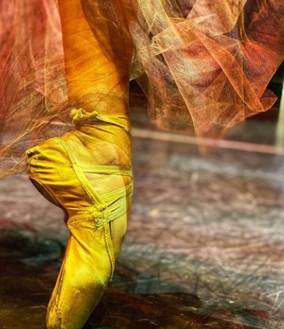 Mzansi Ballet: Swan Lake