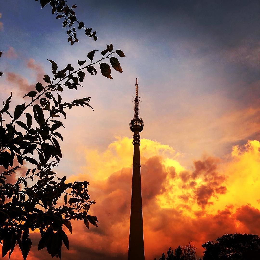 Things to see and do in Brixton