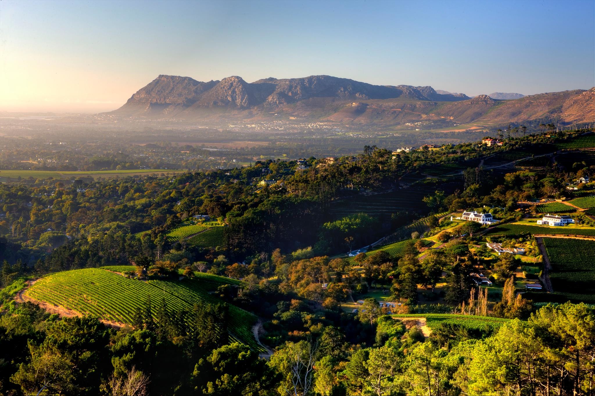 The Constantia Showcase – Wine tasting and harvest table at Southern ...