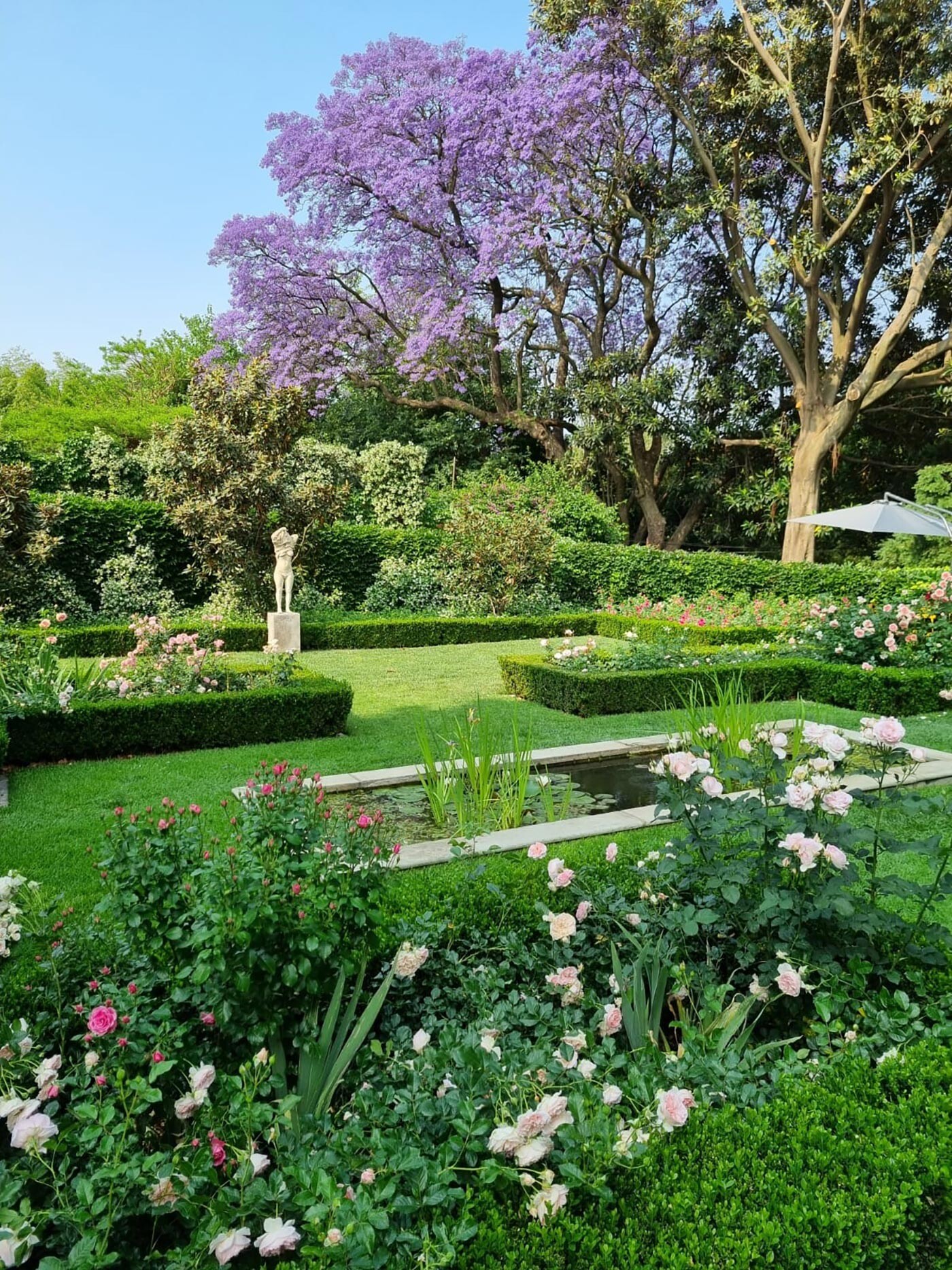 Open Gardens | Johannesburg
