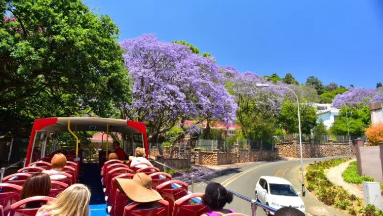 #JacarandaInYourPocket 2023 Photo Walks and Tours