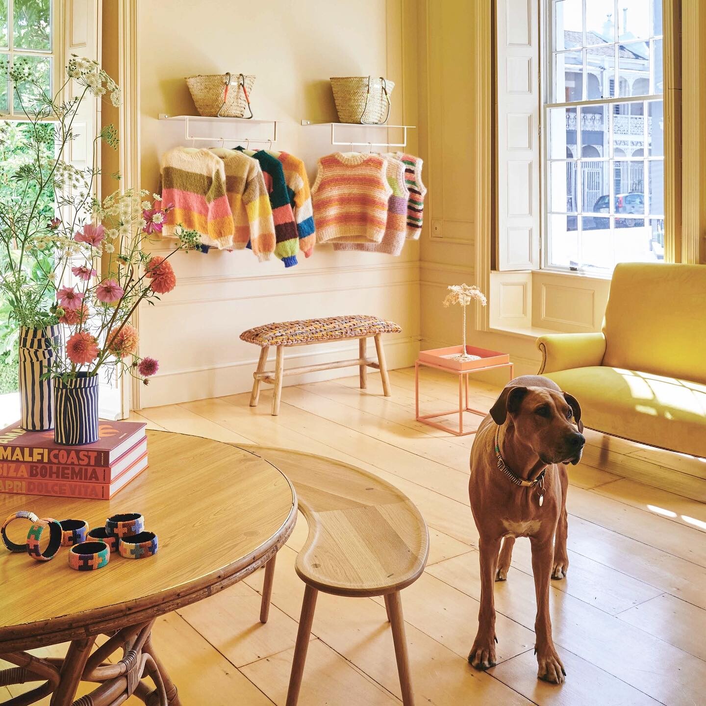 Brands to shop at Andticks