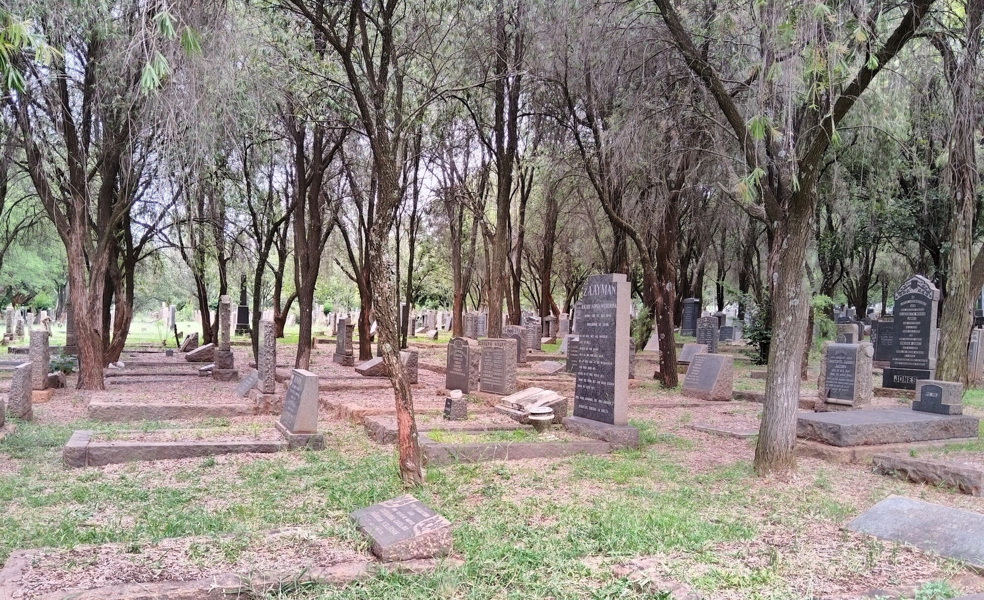 Timeless Heritage: Westpark Cemetery Special Benefit Tour