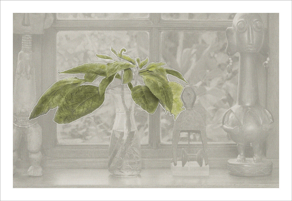 Michael Meyersfeld and Michael Vickers: 'Scapeland' at W17 Gallery