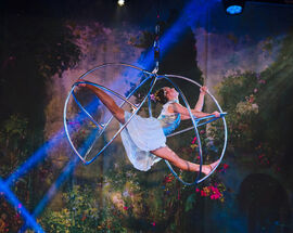 Once Upon a Time: Reimagined by The Cirk