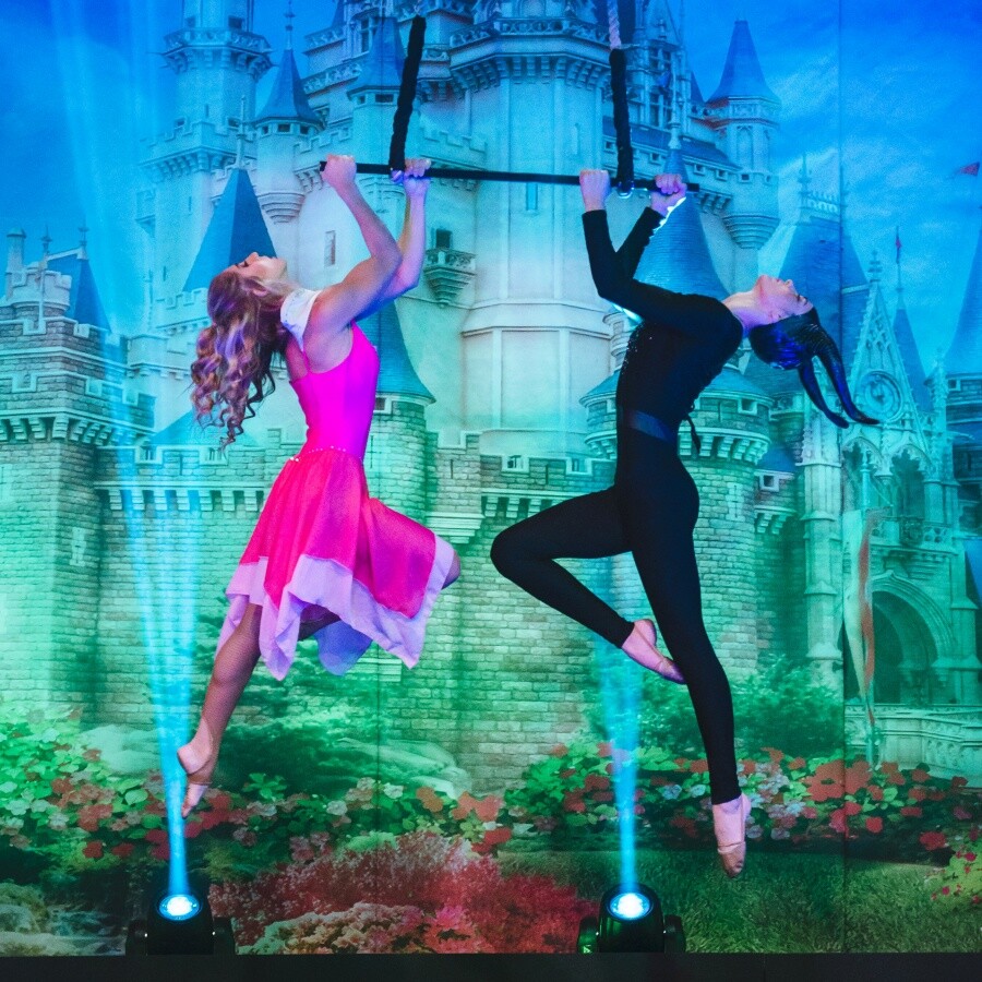 Once Upon a Time: Reimagined by The Cirk