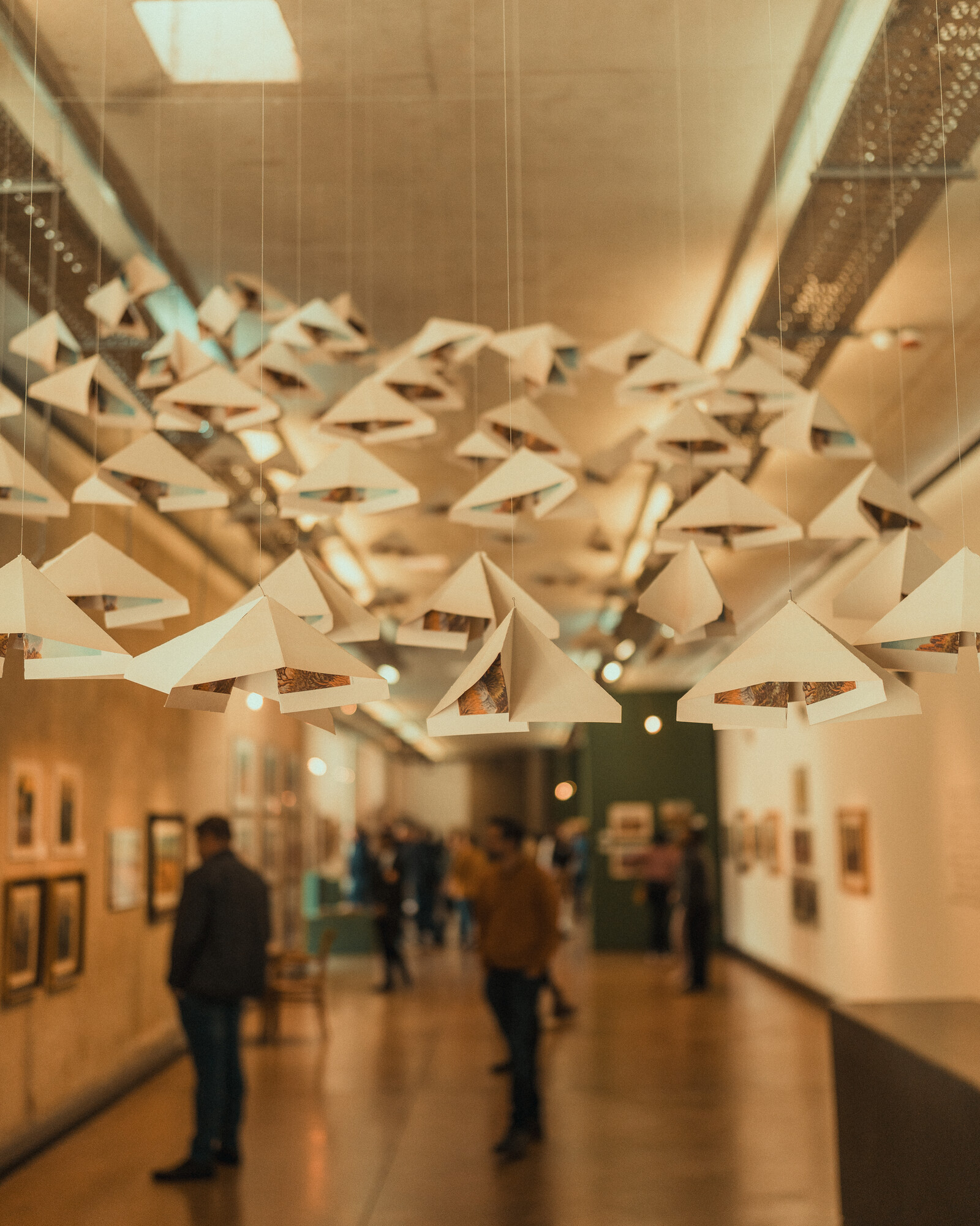 Call for entries: The UJ and MTN New Contemporaries Award for emerging ...