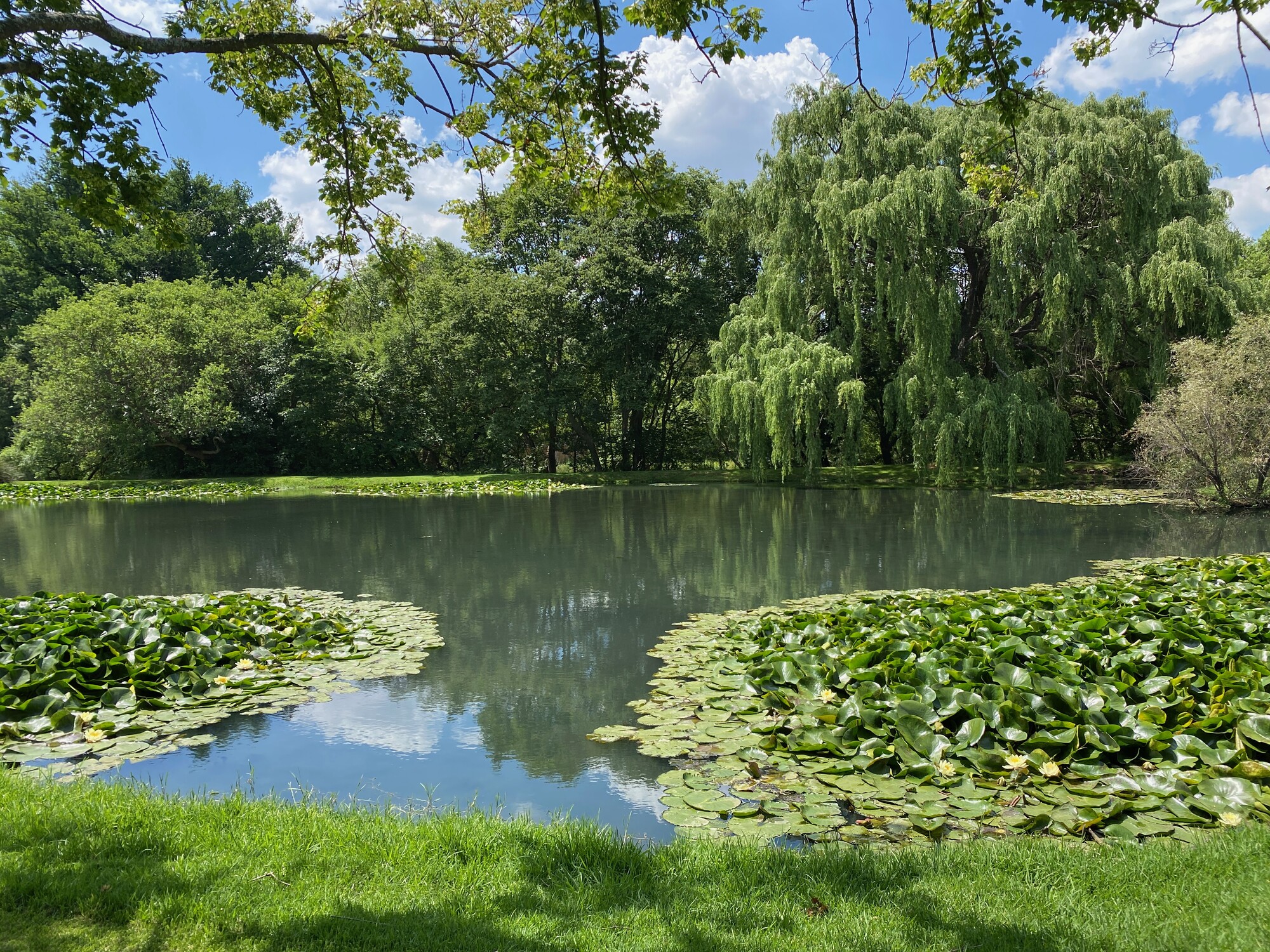 BMW Art Generation at Nirox 2024 | Johannesburg